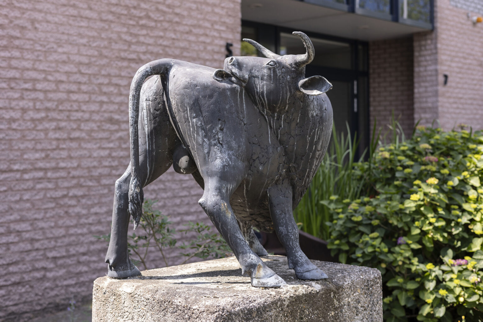 About us - COKZ | Controle Orgaan Kwaliteits Zaken